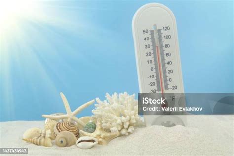파란색 배경에 조개 불가사리 산호가 있는 모래 위의 온도계 0명에 대한 스톡 사진 및 기타 이미지 0명 개념 계절 Istock