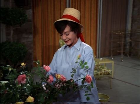 Pictures Of Debi Storm