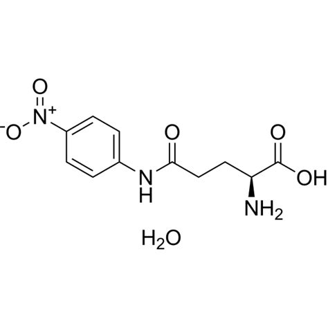 L γ Glutamyl P Nitroanilide Hydrate Cas 122864 94 2 Abmole Bioscience L γ Glutamyl P