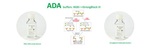 Assay Buffer