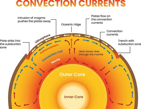 Illustration Of Convection Currents Diagram 45993898 Vector Art At Vecteezy