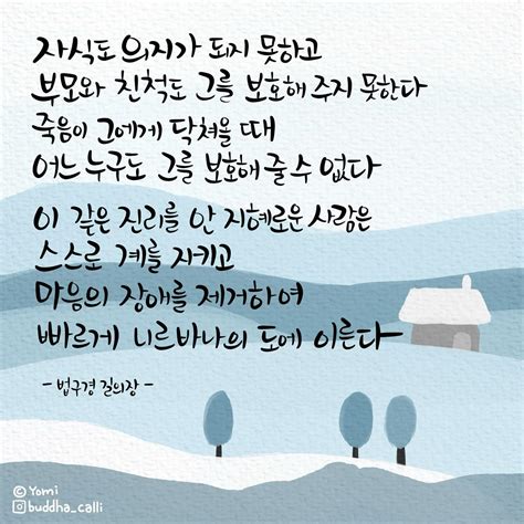 요미 캘리그라피 자식도 의지가 되지 못하고 부모와 친척도 그를 보호해 주지 못한다 죽음이 그에게 닥쳐올 때 어느 누구도 그를 보호해 줄 수 없다 이 같은 진리를 안
