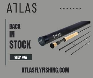 RV Electrical Systems 1 Best Definitive Buyer Guide You Need