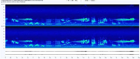 High Resolution Spectrogram The High Density Of Songs Often Makes