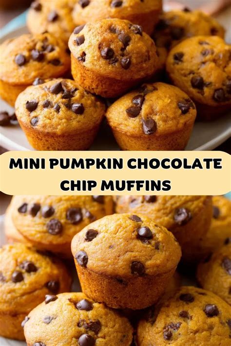 Irresistible Fall Delight Pumpkin Chocolate Chip Muffins Recipe Healthy Fall Chocolate