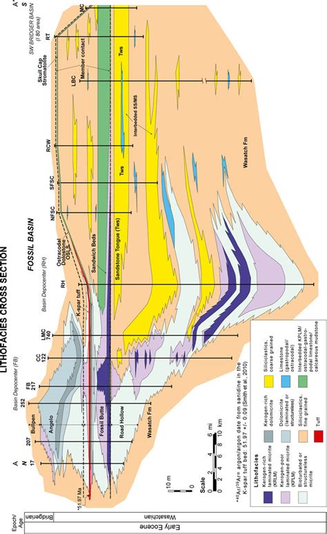 5 Lithofacies Cross Section Illustrating The Correlation Of Facies In Download Scientific