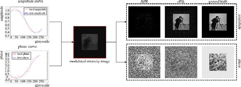 Lensless Coherent Diffraction Imaging Based On Spatial Light Modulator With Unknown Modulation Curve