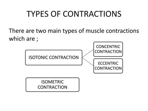 Isotonic And Isometric Pptx Physical Therapy Wellness