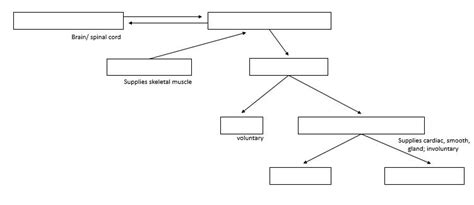 Flow Chart Diagram Quizlet