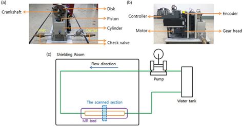 Pulsatile Flow System A Pulsatile Flow Model Front B Pulsatile