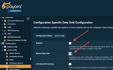 How And When To Disable Domain Data Grid In Payara Server