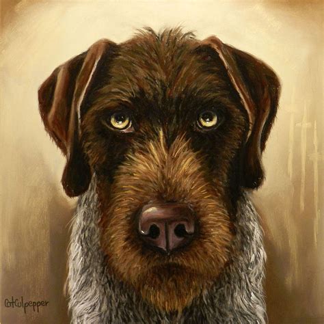 German Wirehair Pointer Pastel By Cat Culpepper Fine Art America German Wirehair Pointer Pastel By Cat Culpepper Fine Art America