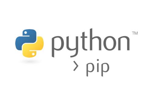Python Pip Ept Expert Programming Tutor