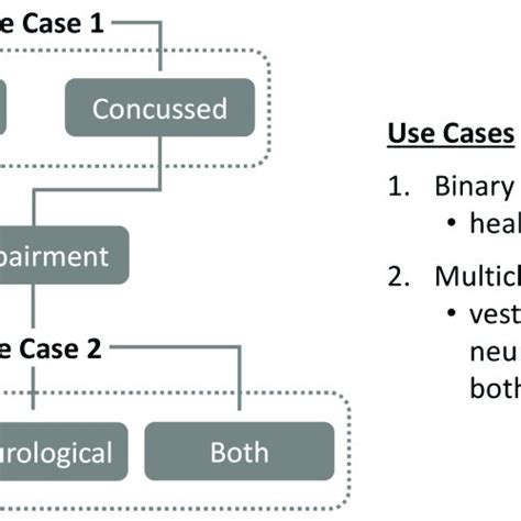 Classification Use Cases Investigated In The Present Study Download