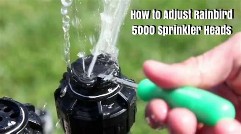 How To Adjust Rain Bird 5000 Pop Up Sprinkler Heads At Artie Meek Blog