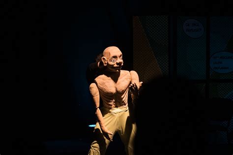 Spectacole De Teatru De Păpuși Teatrul Magic Puppet