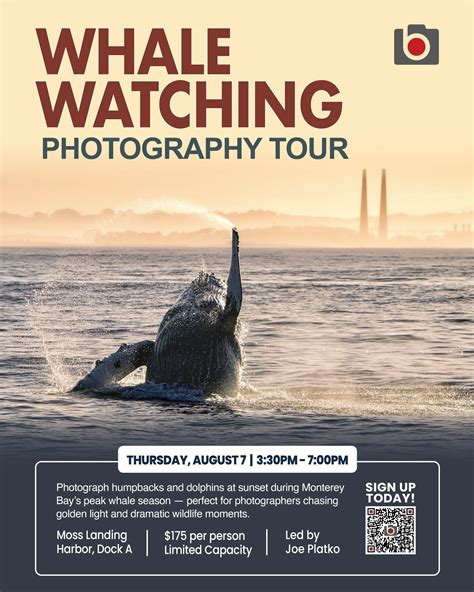 Whale Watching Photography Tour Monterey Bay Aug 7 2025 — Bradley