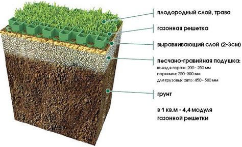Газон в саду для летних прогулок