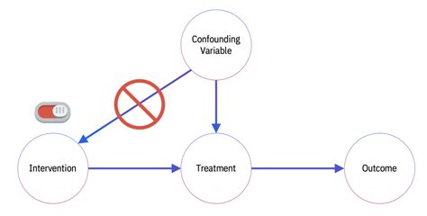 Reverse Engineering Causal Graphs With Soft Interventions Mit Ibm Watson Ai Lab