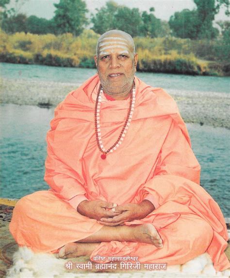 Acharya Mahamandleshwar Shri Swami Brahmanand Giri Ji Maharaj