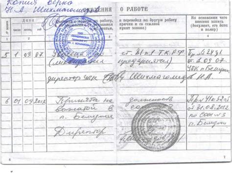 Справка о стаже и трудовая книжка Формат Pdf Опубликовано 27 01 2024 в 15 50 22 Автор