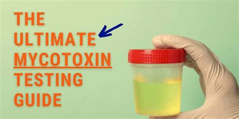The Best Mycotoxin Test Ultimate Mycotoxin Testing Guide Fwdfuel Sports Nutrition