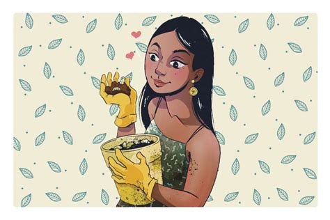 DIY Guide How To Make A Kitchen Composting Setup For The Home The Kodai Chronicle