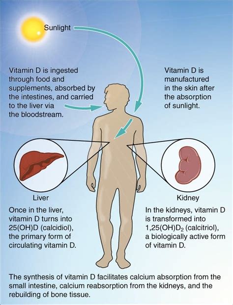 Vitamin D Your Sunshine Supplement For Strong Bones Orthopaedic