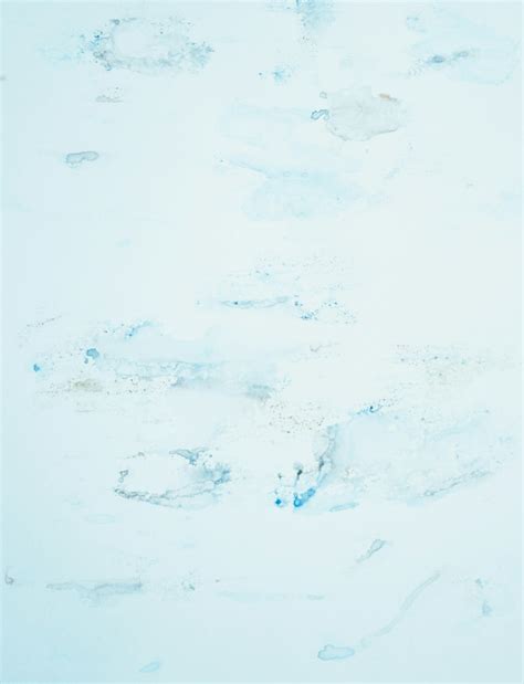 화창한 날에 새가 눈 속에 서 있다 사진 Unsplash의 무료 파랑 이미지