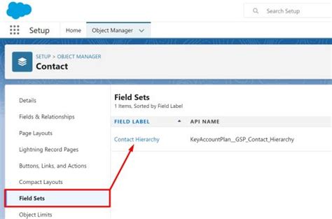 Customize Hierarchy Page GSP Account Planner