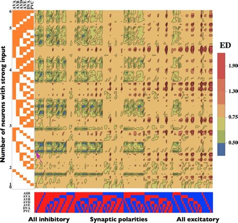 Dependence Of The Euclidean Distance Ed On The Patterns Of Synaptic