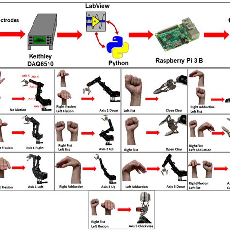 A Flow Of Emg Signal From Participant To Robotic Arm B Hand Download Scientific Diagram