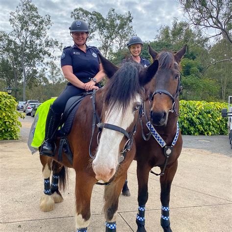 Mounted Unit Offers Unique Perspective On Policing Mirage News