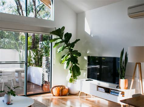 Екологічно чисті спреї від пилу які можна легко приготувати самостійно