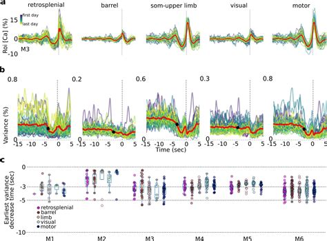Mesoscale Cortex Wide Neural Dynamics Predict Self Initiated Actions In Mice Several Seconds