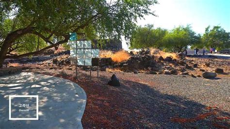 8화 회개하지 않는 땅 고라신에 가다 꽃보다 목자 갓피플