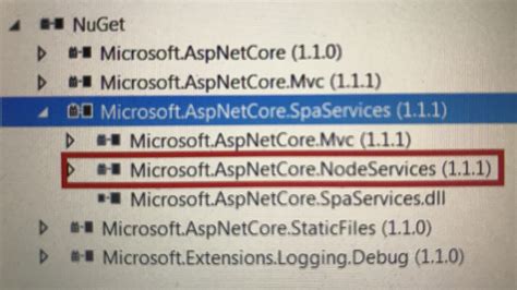 Do I Need To Install Node Js On Production Server To Host Angular Stack Overflow