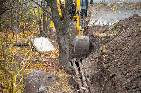 나무와 관목이 있는 현장에서 토공을 하는 동안 굴착기가 작업 중인 과정 0명에 대한 스톡 사진 및 기타 이미지 0명 건설 기계류 건설 현장 Istock