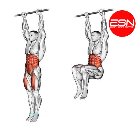 Los Mejores Ejercicios Para Marcar Los Abdominales Elimina El Vientre