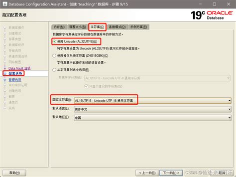 利用dbca创建一个数据库（oracle 19c） Csdn博客