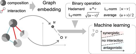 overview of the graph embedding method to predict interaction between download scientific