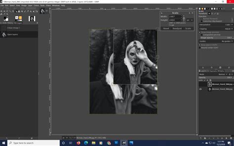 How To Resize A Layer In Gimp Quick And Easy