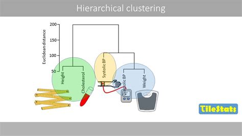 Hierarchical Clustering Explained YouTube