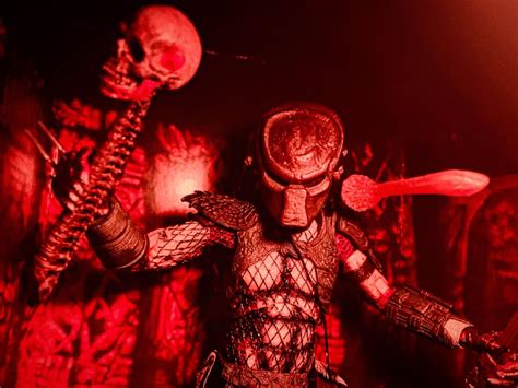 Hes In Town For A Few Days To Kill Rpredator