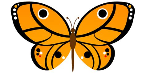 Drawing A Butterfly With Html And Css Dev Community