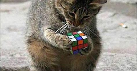 Mfw I Try To Do An Rubix Cube Imgur