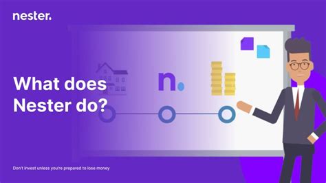 Learn About What Nester Does And Its Role Learn About How Funds Are Used And How Risks Are