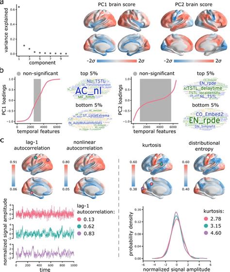 figures and data in topographic gradients of intrinsic dynamics across
