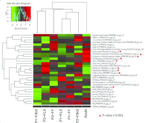 How To Perform Cluster Analyses And Generate Heatmap Of Clustered Protein ResearchGate