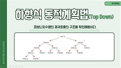 파이썬을 활용한 정보올림피아드 대비 동적계획법1피보나치수열 Youtube